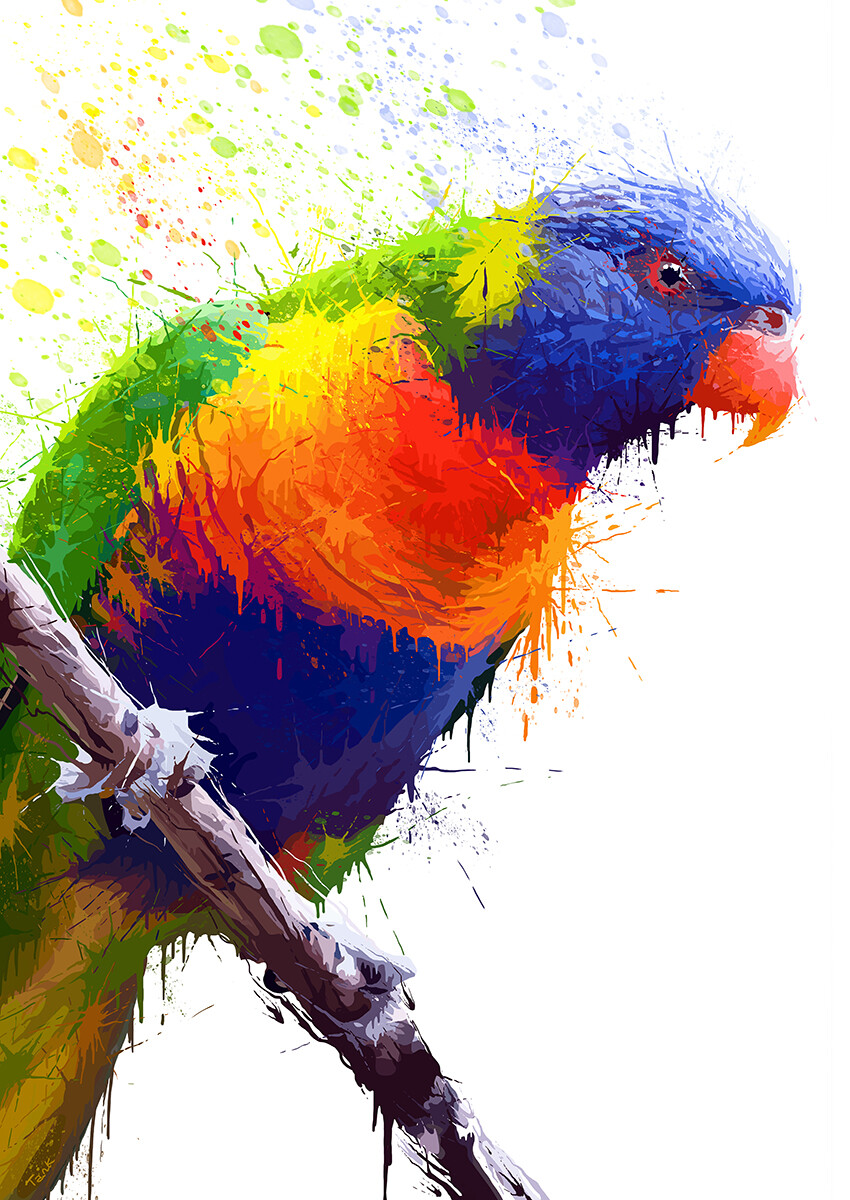 ArtStation - Rainbow Lorikeet