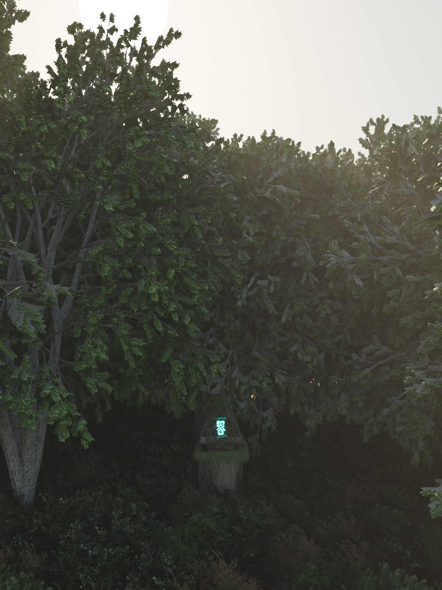 Stanislav Ferrao - Rune (My first Nature Render)