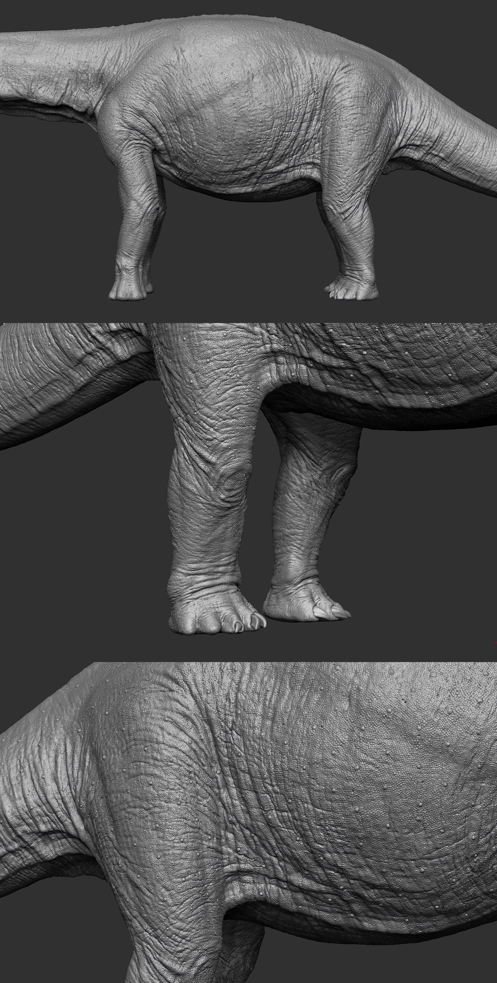 Vlad Konstantinov - Cooper. Australotitan cooperensis