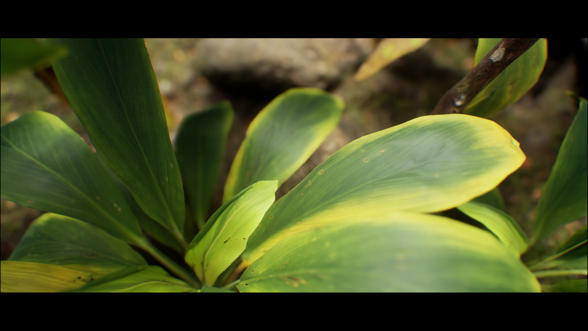 Simon Blakeney - Unreal Engine 5.0 EA + Quixel Megascans - 5 min scene ...