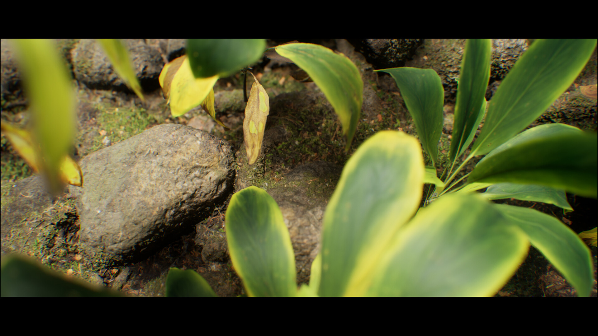 Simon Blakeney - Unreal Engine 5.0 EA + Quixel Megascans - 5 min scene ...