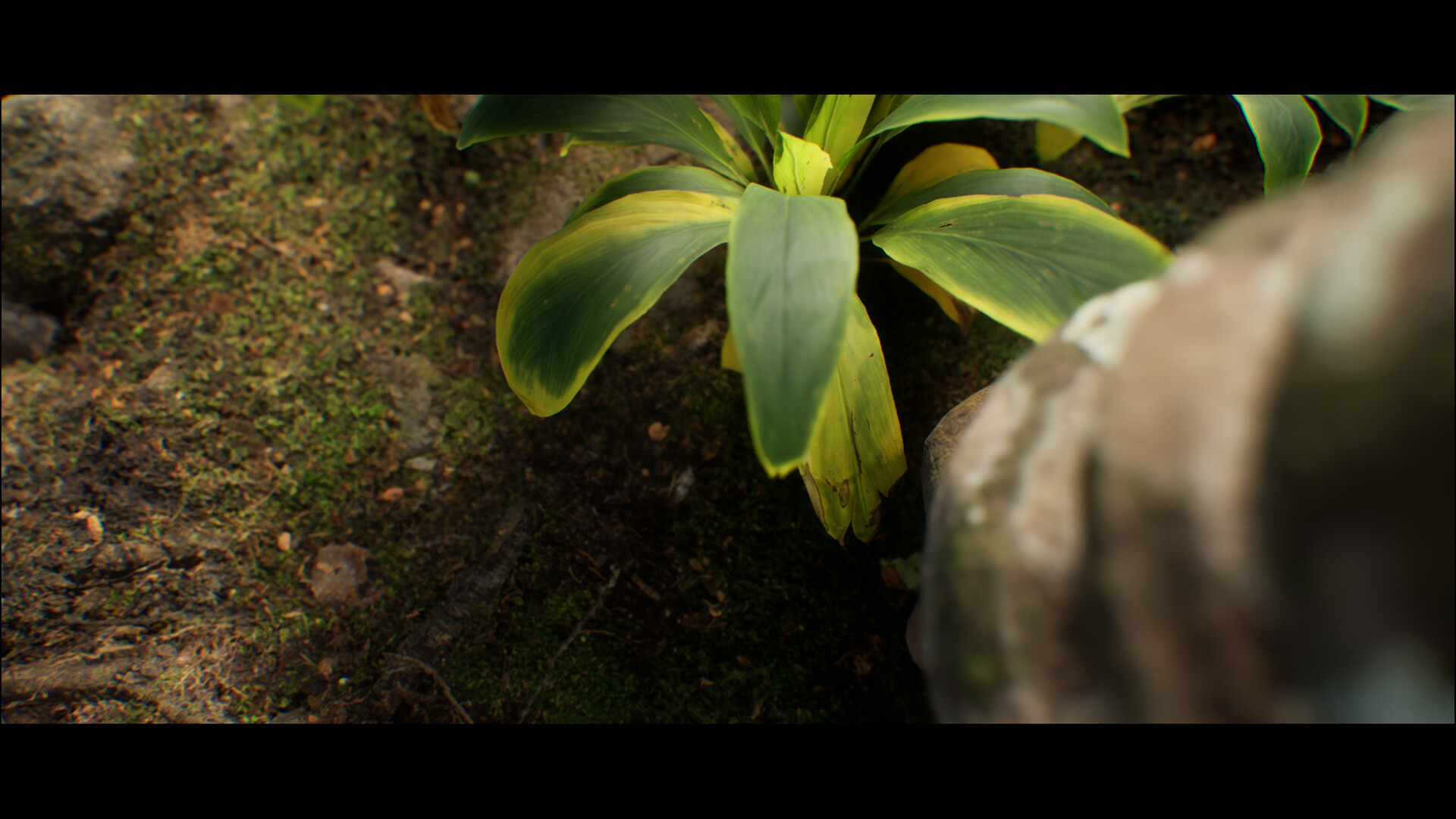 Simon Blakeney - Unreal Engine 5.0 EA + Quixel Megascans - 5 min scene ...