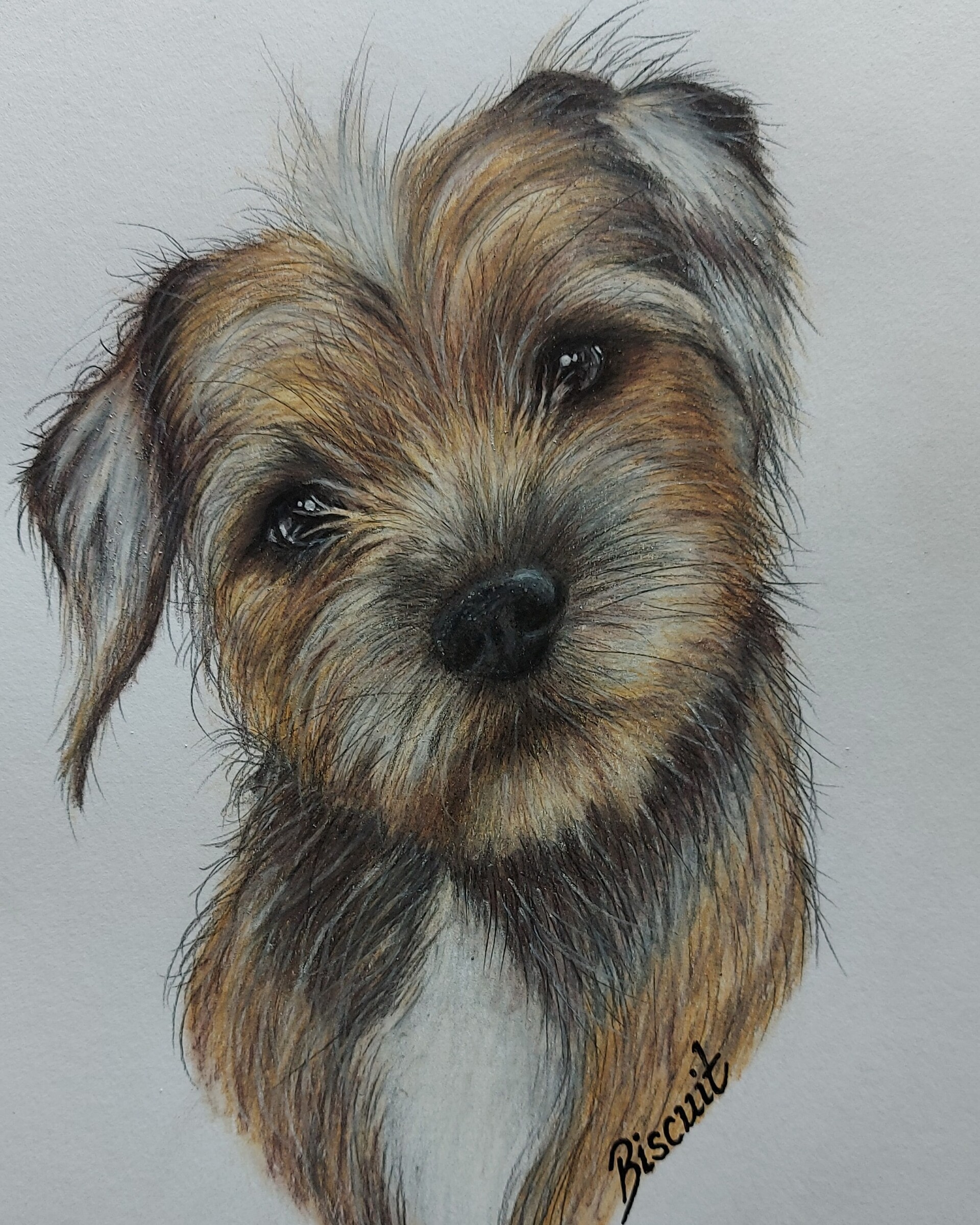 ArtStation - Terrier portrait