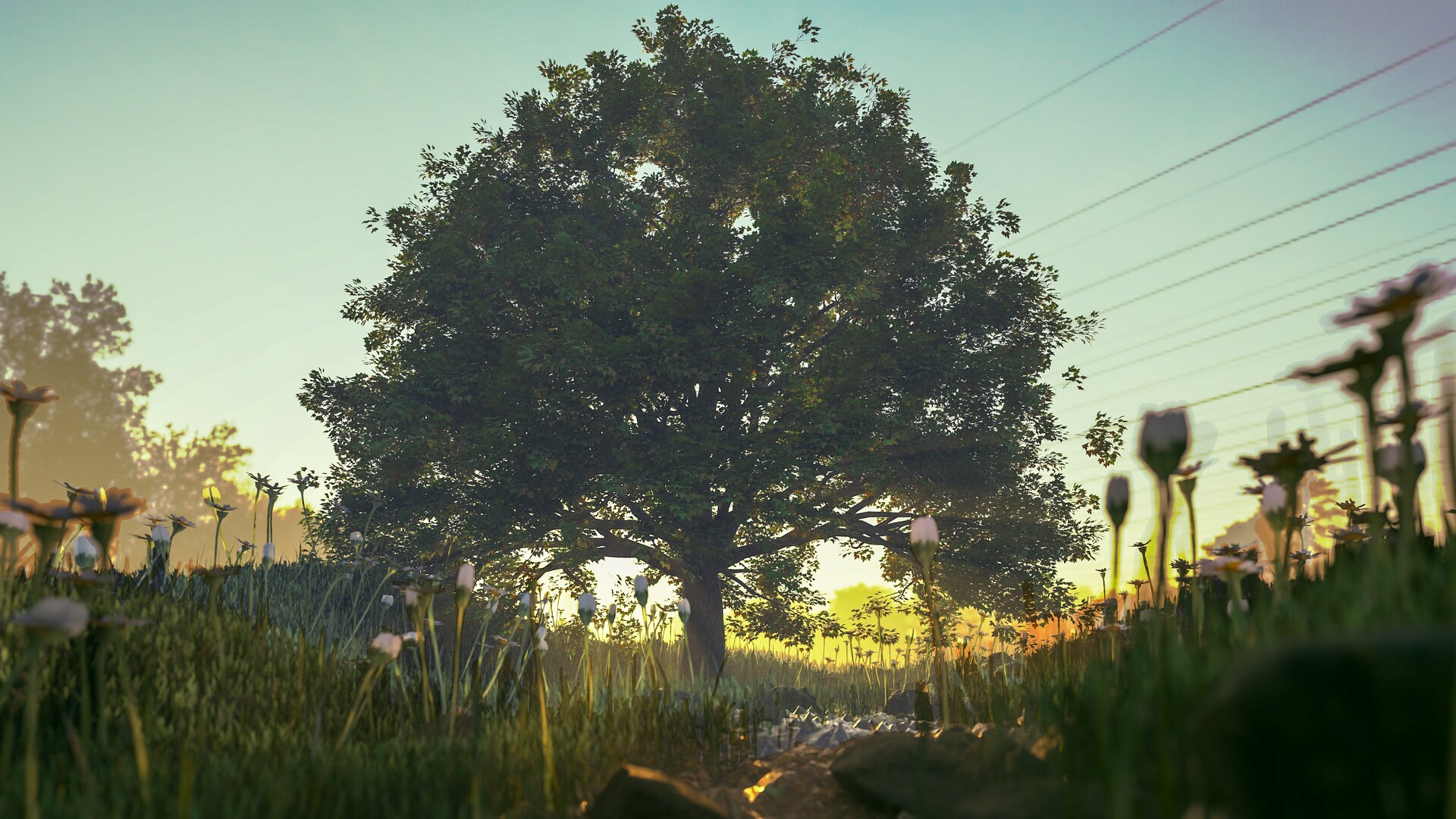 ArtStation - TREE