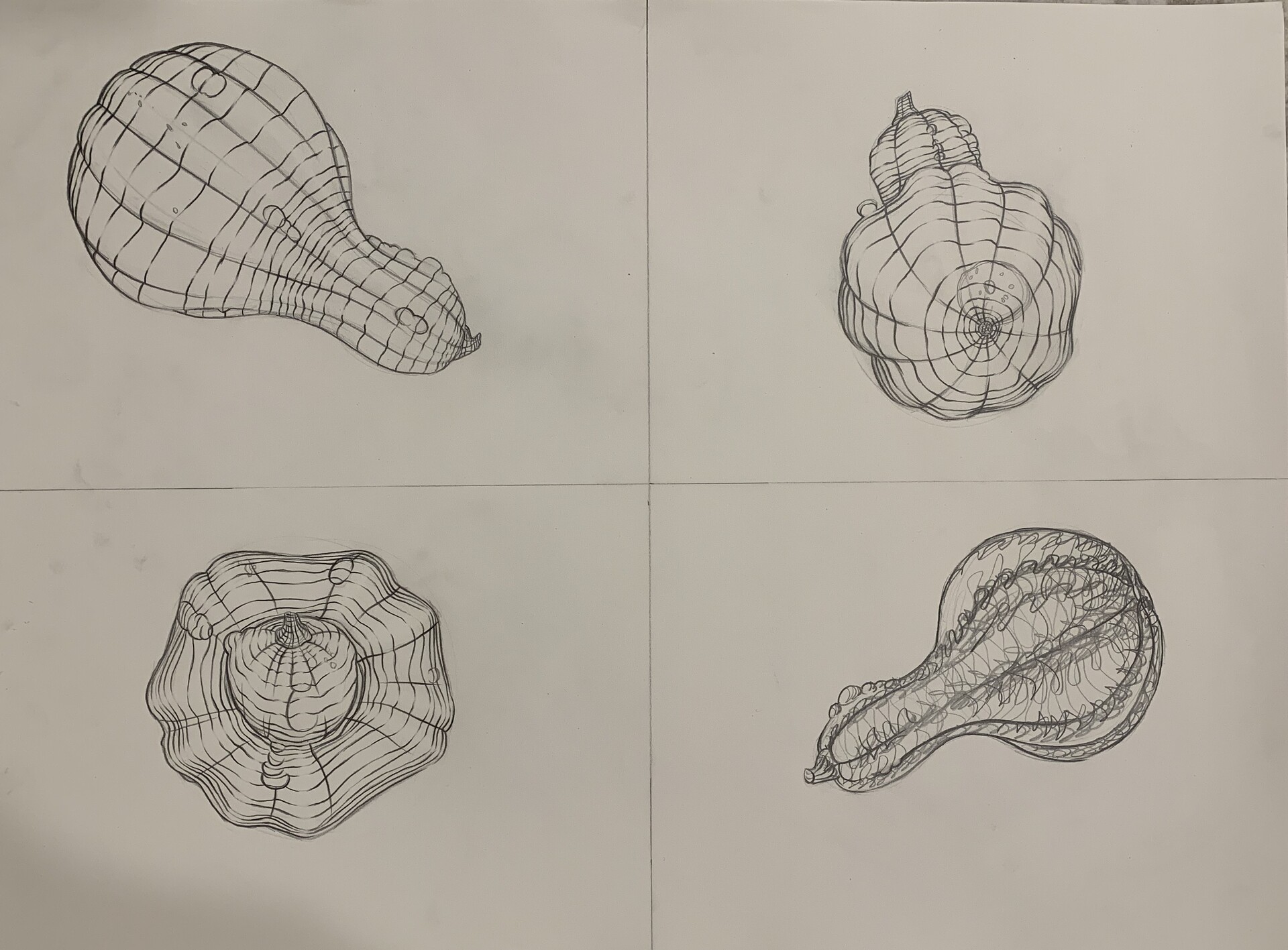 Cross Contour Line Drawing