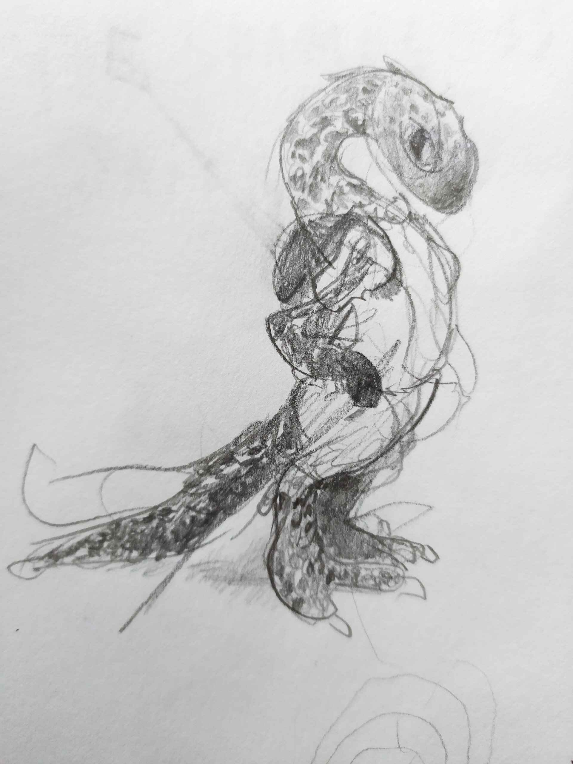 Pauline Body--Hinrichsen - Lot of drawings