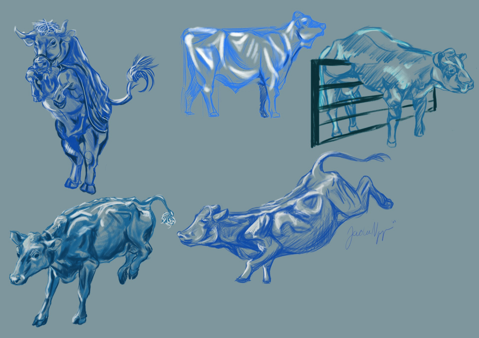 ArtStation - Cow Study