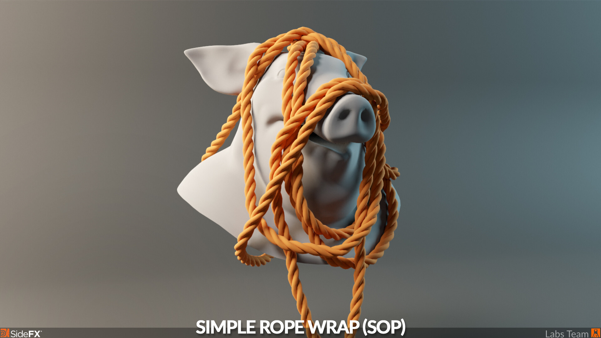 SideFX Labs - Labs Simple Rope Wrap