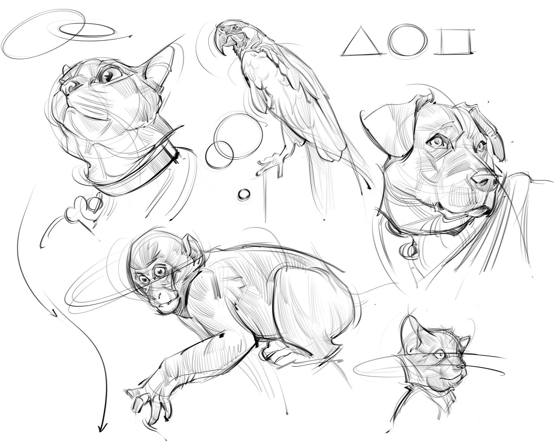 ArtStation - Animal Gestures