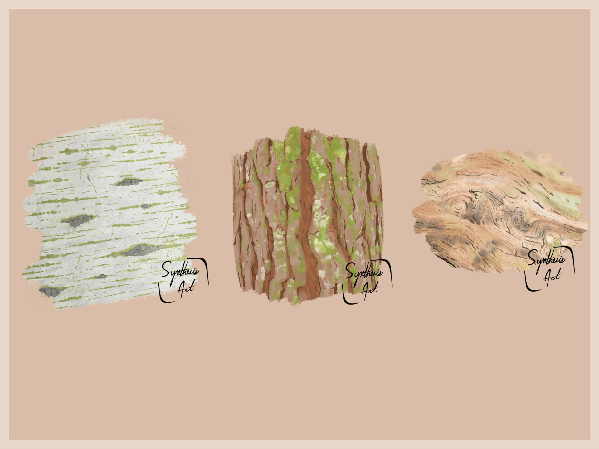 ArtStation - Bark Study