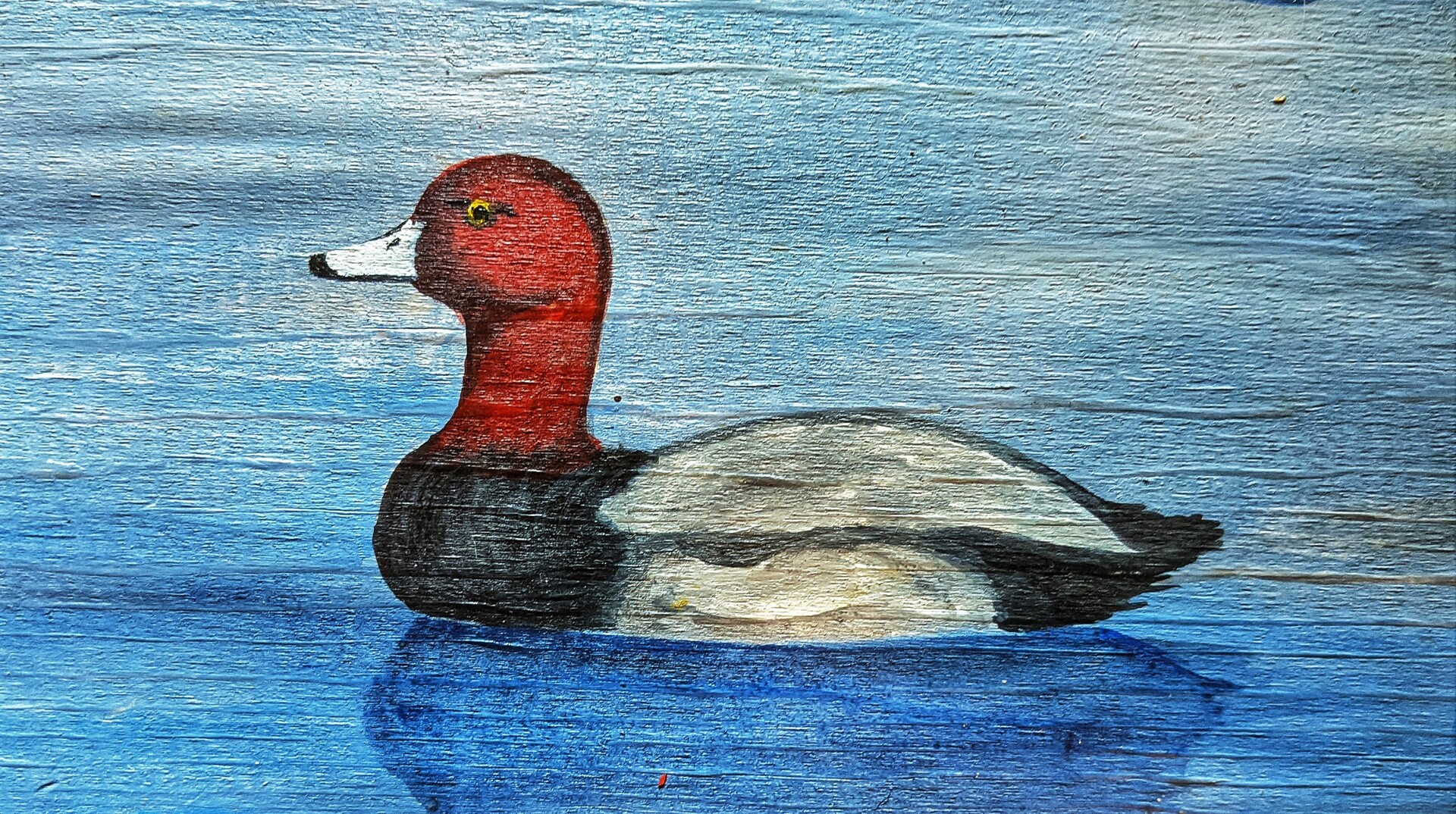 ArtStation - Redhead Duck on the Lake