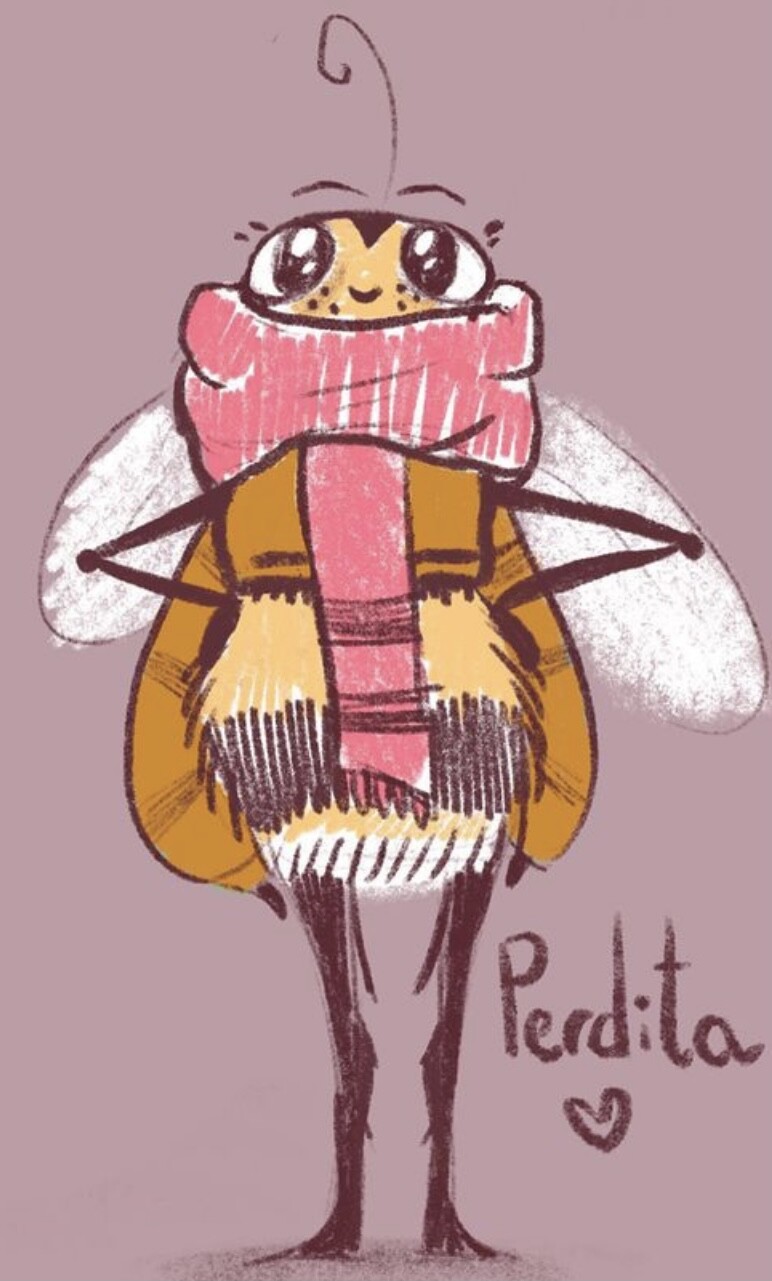 ArtStation - Bee character design