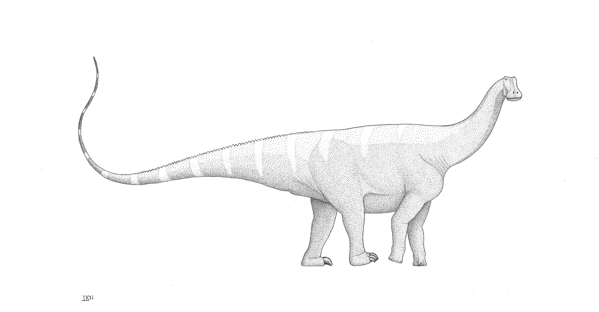 ArtStation - Nigersaurus