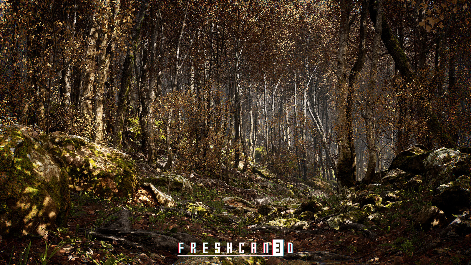Freshcan 3D - Environment Art Studio - Oak forest in Autumn in Unreal ...