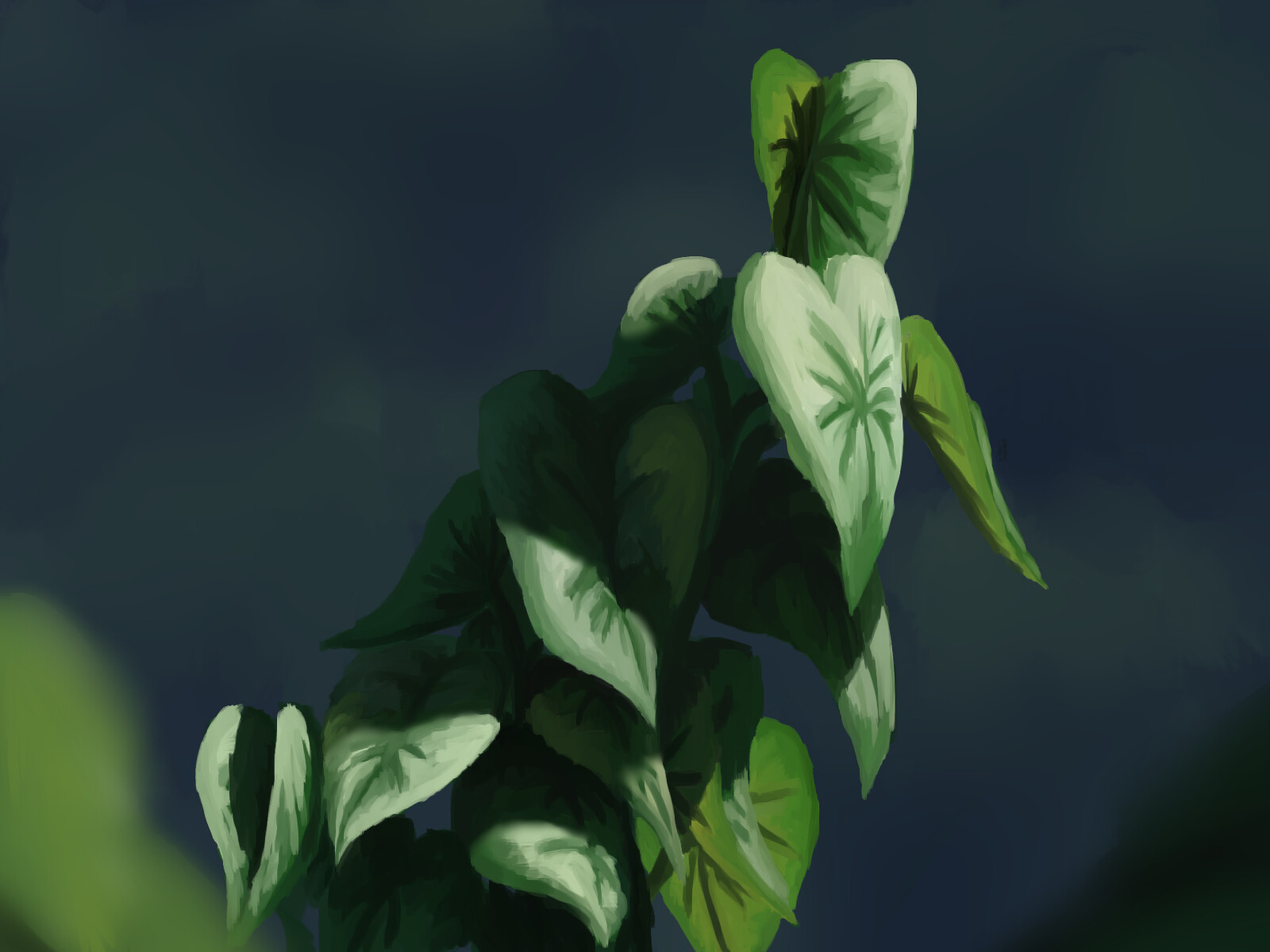 ArtStation - plant