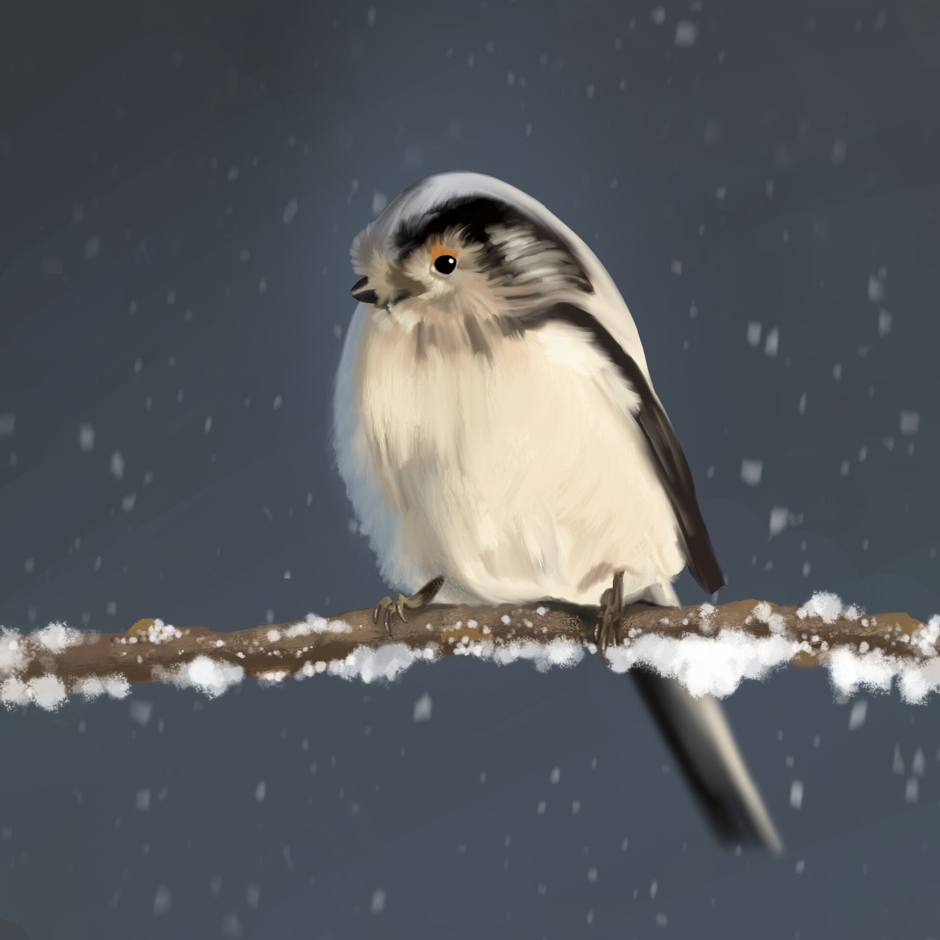ArtStation - Bird In Snow
