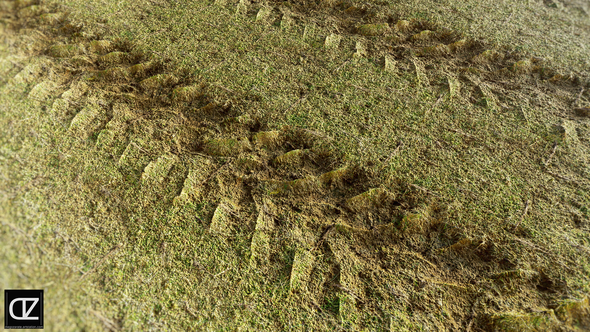 Diego Zarate - PBR - TRACTOR TRACKS ON THE GRASS, FIELD, TRACE, PRINTS ...