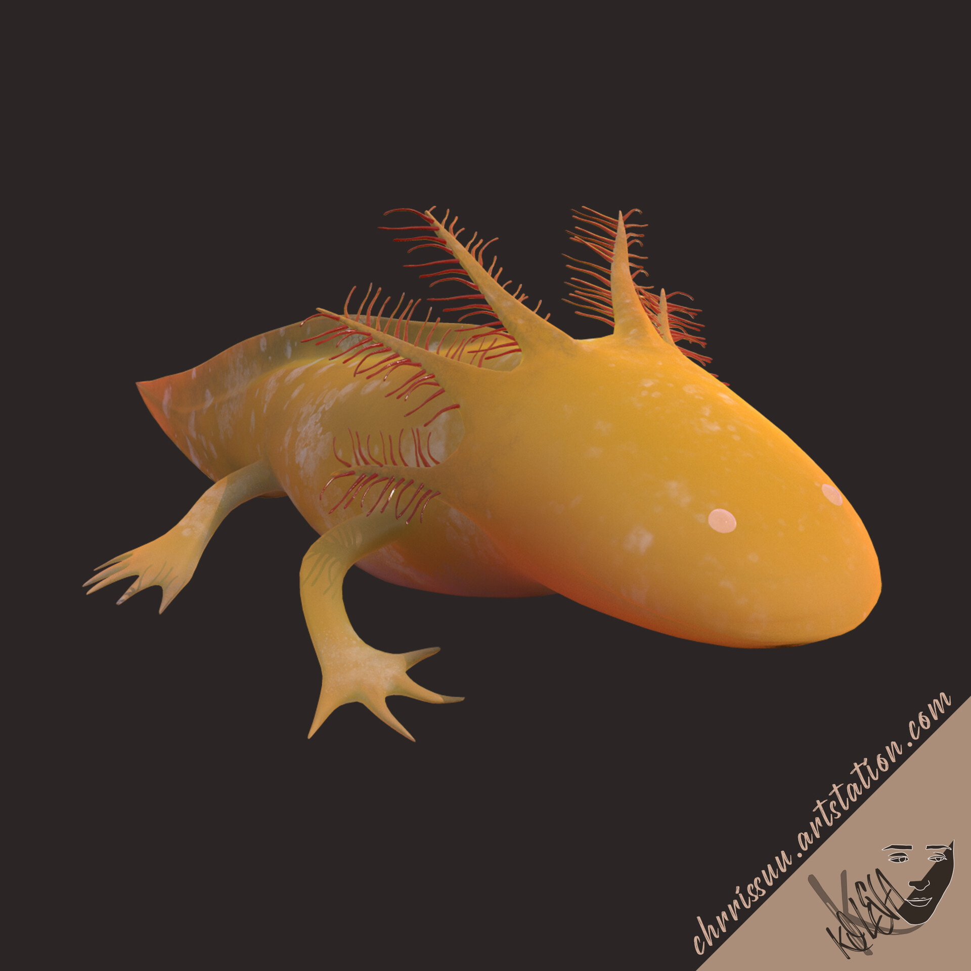 Kristin Koleva - Axolotl 3D Second Edit