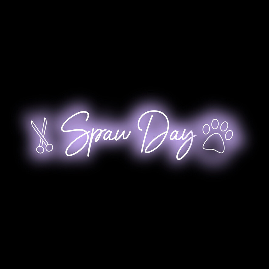 ArtStation - Spaw Day