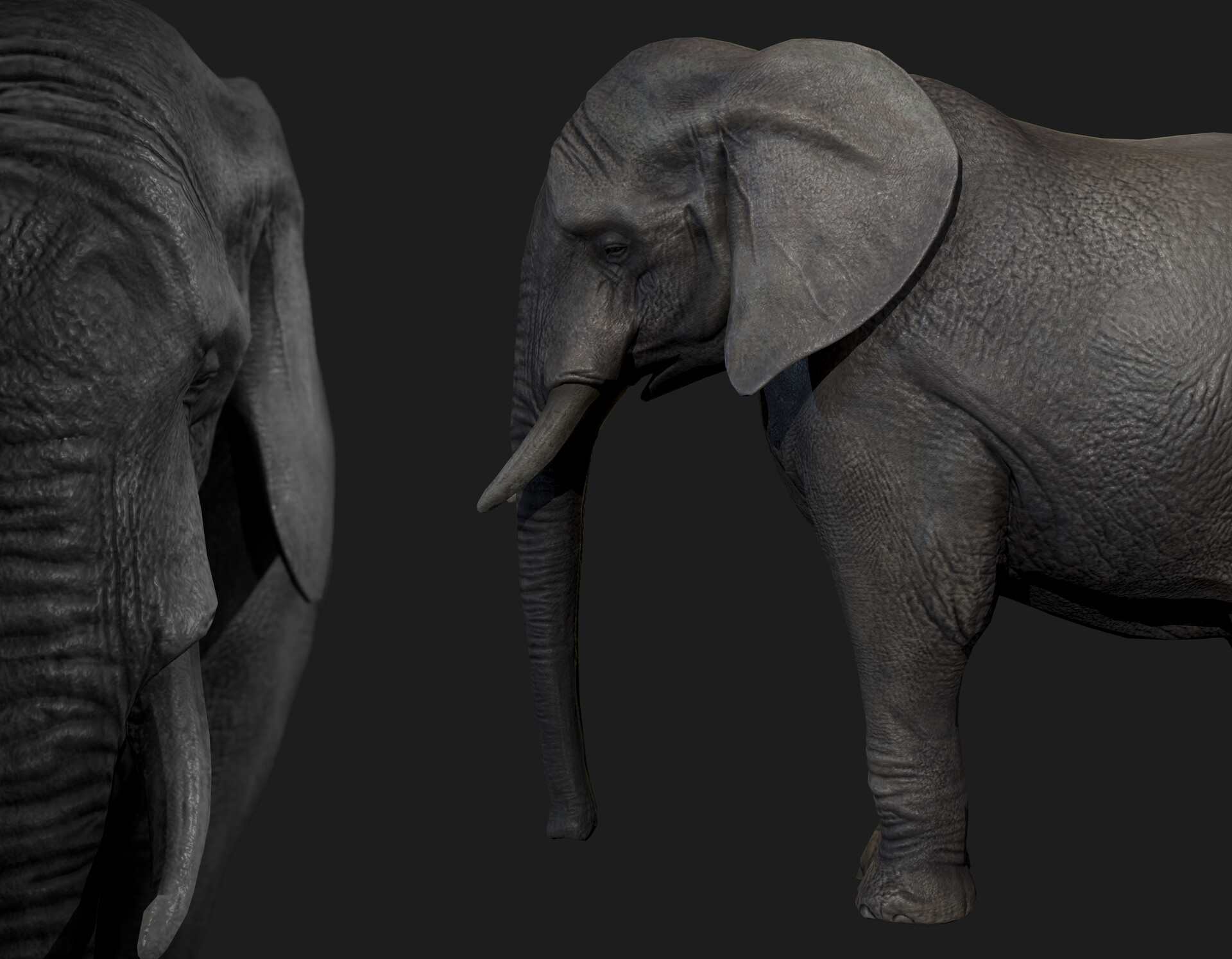 ArtStation - ELEPHANT