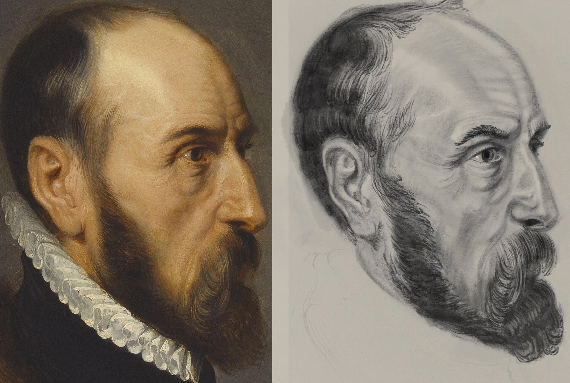 ArtStation - Rubens portrait study 1