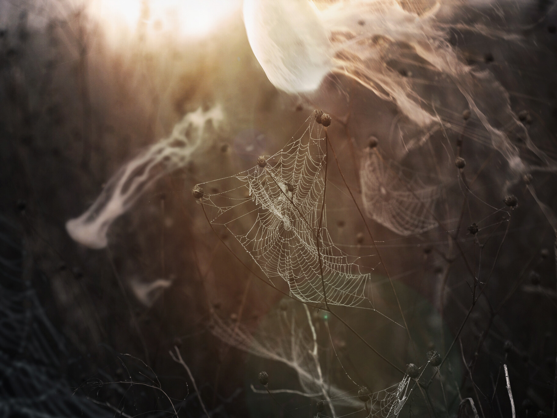 ArtStation - When nobody sees...