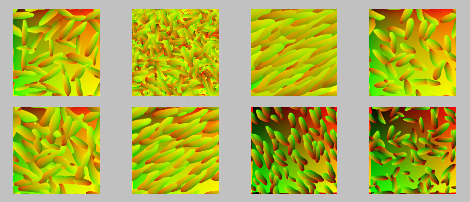 Woradon Narasetkul - Maggot Swarm