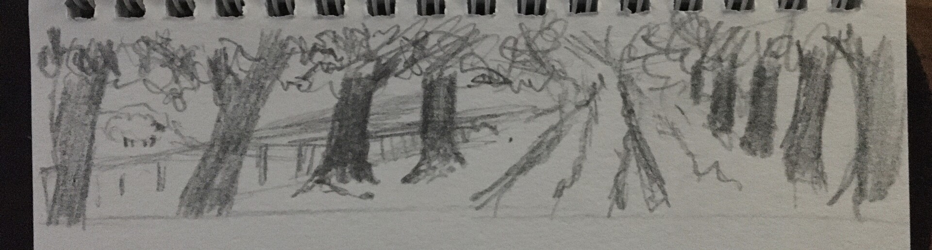 ArtStation - Forest clearing path. Enjoy