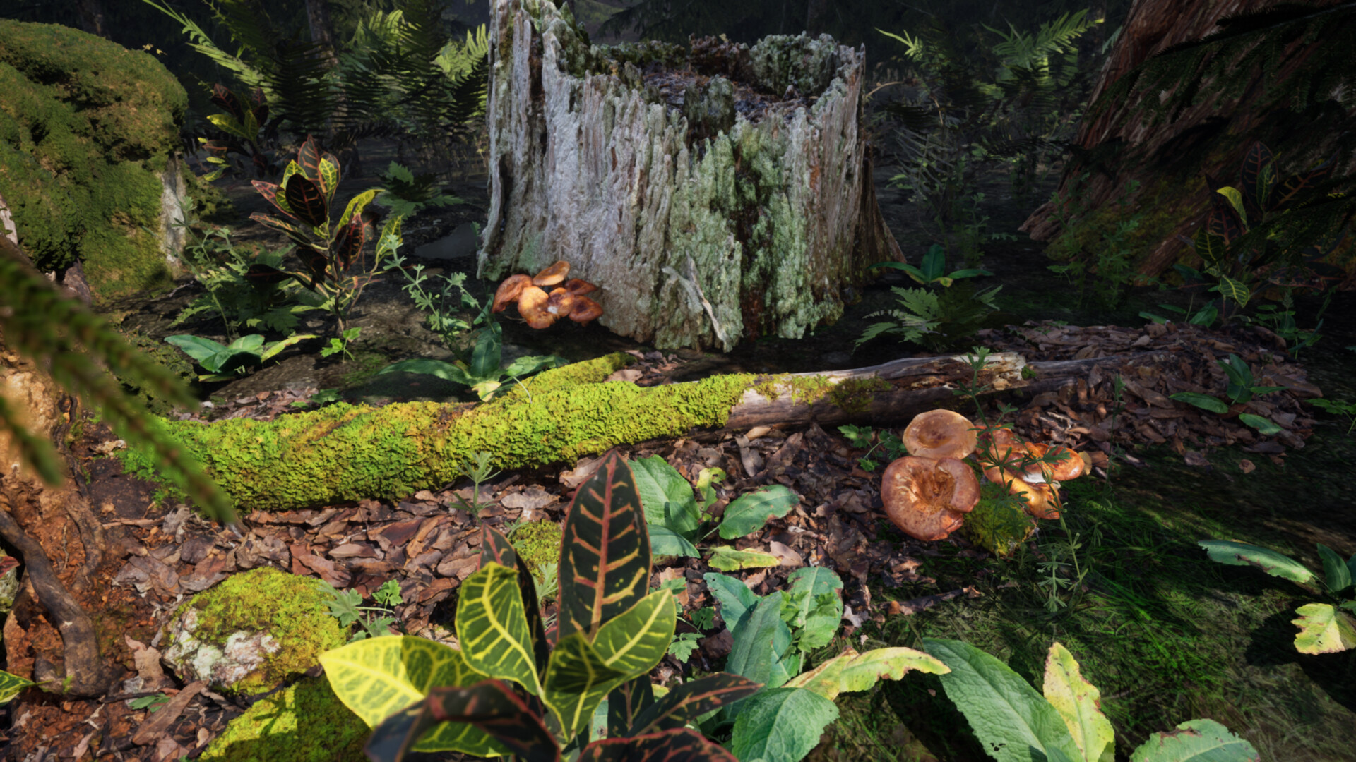 ArtStation - Forgotten Forest