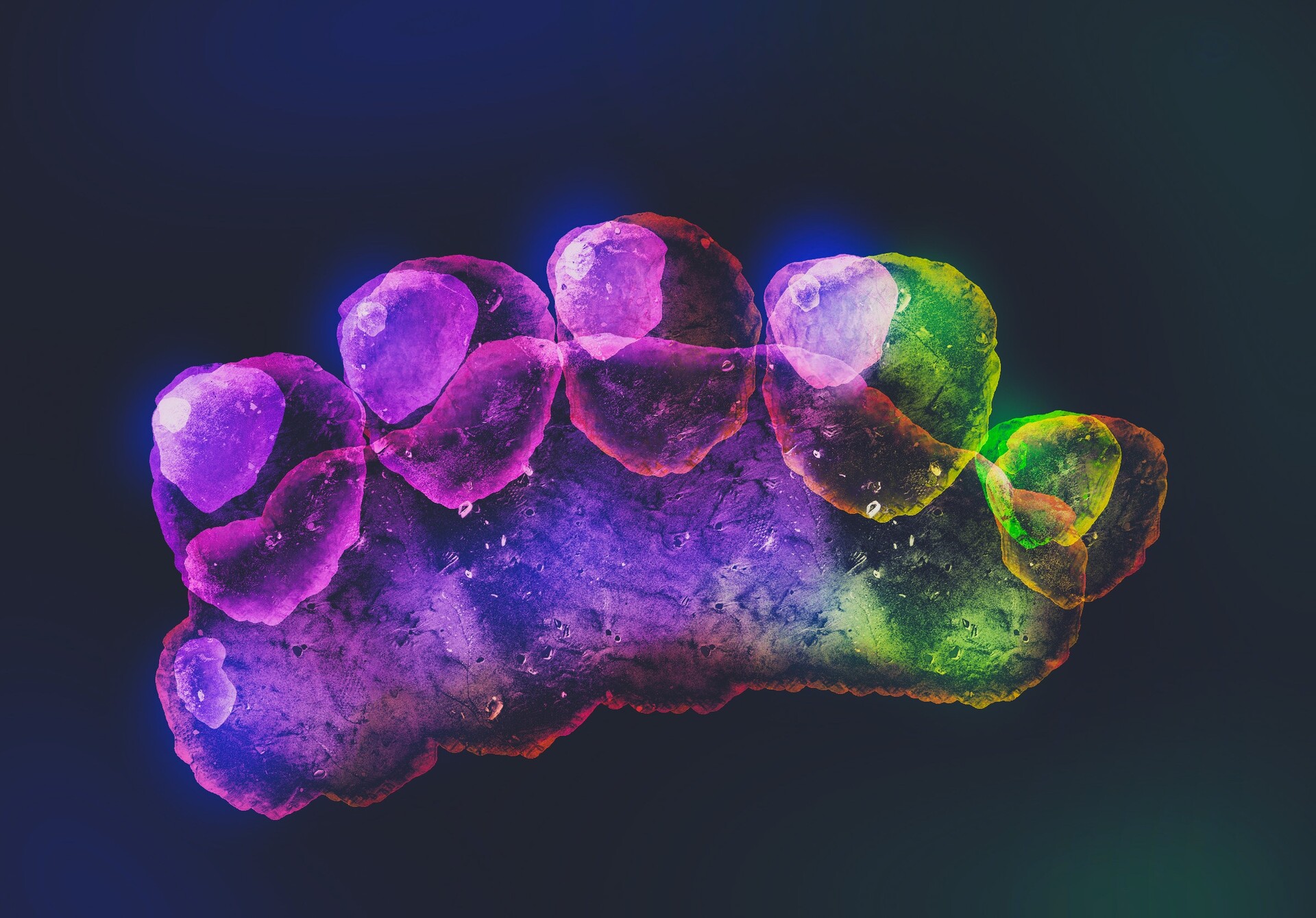 ArtStation - The Paw