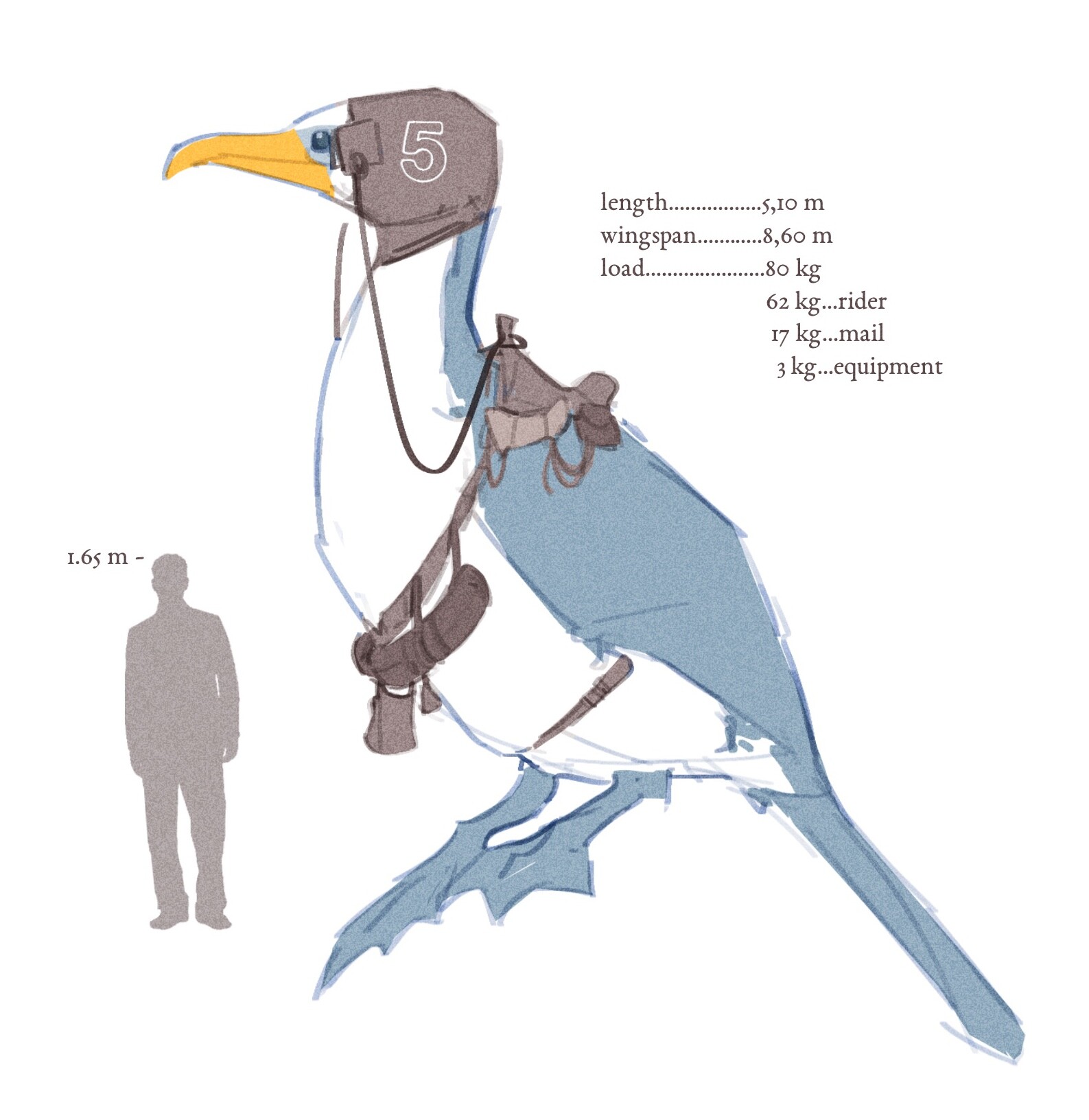 Leonardo Mazzoli - Bird delivery service