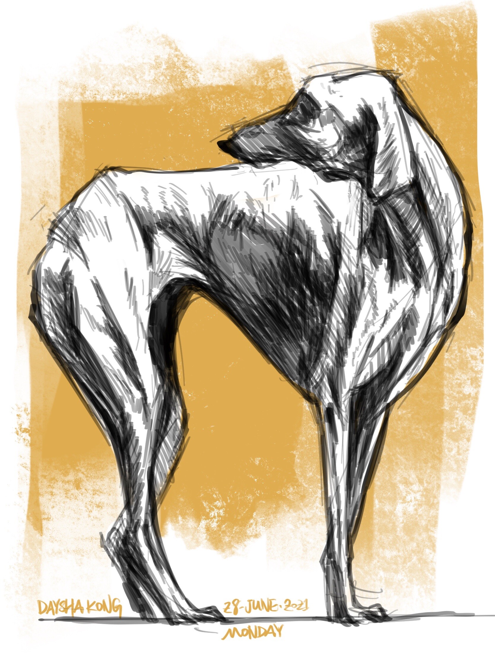 ArtStation - Sketch dog