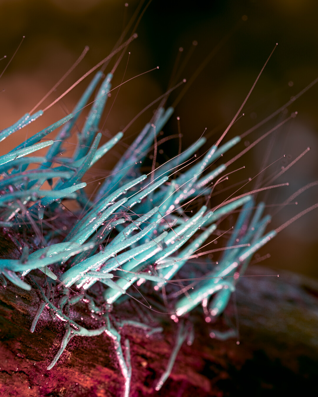 Luke Penry - Procedural Fungus - June Everydays