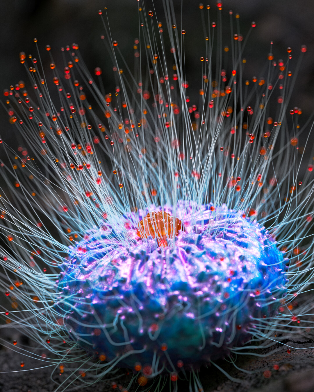 Luke Penry - Procedural Fungus - June Everydays