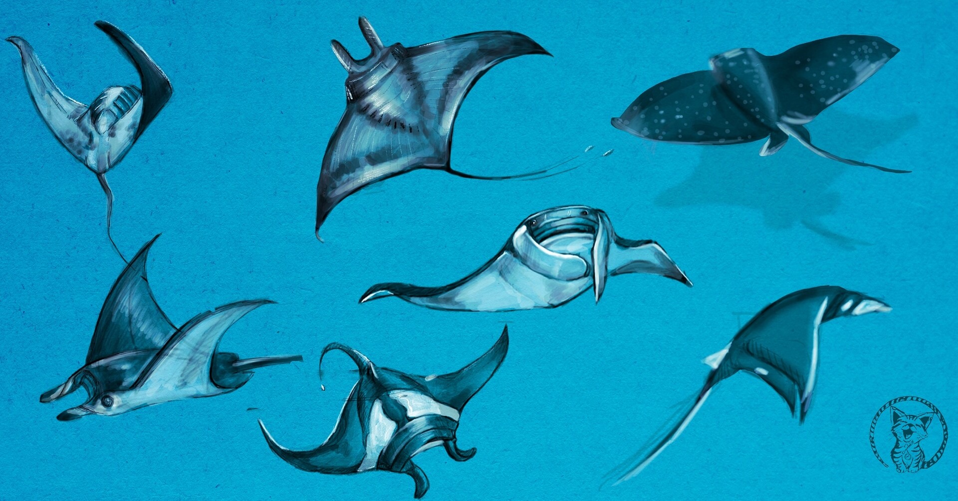 ArtStation - Manta Rays study