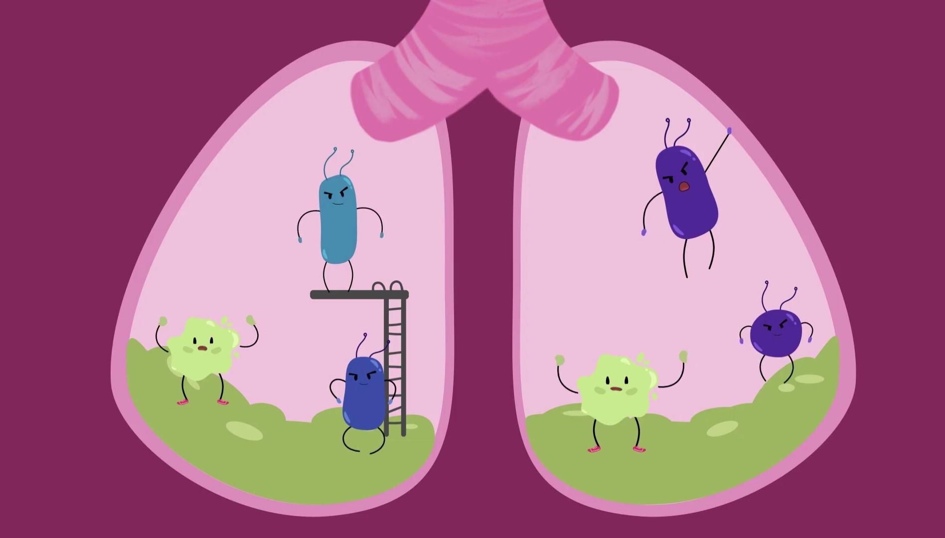 Dearbhla Toland - Cystic Fibrosis - Animation 1 Renders