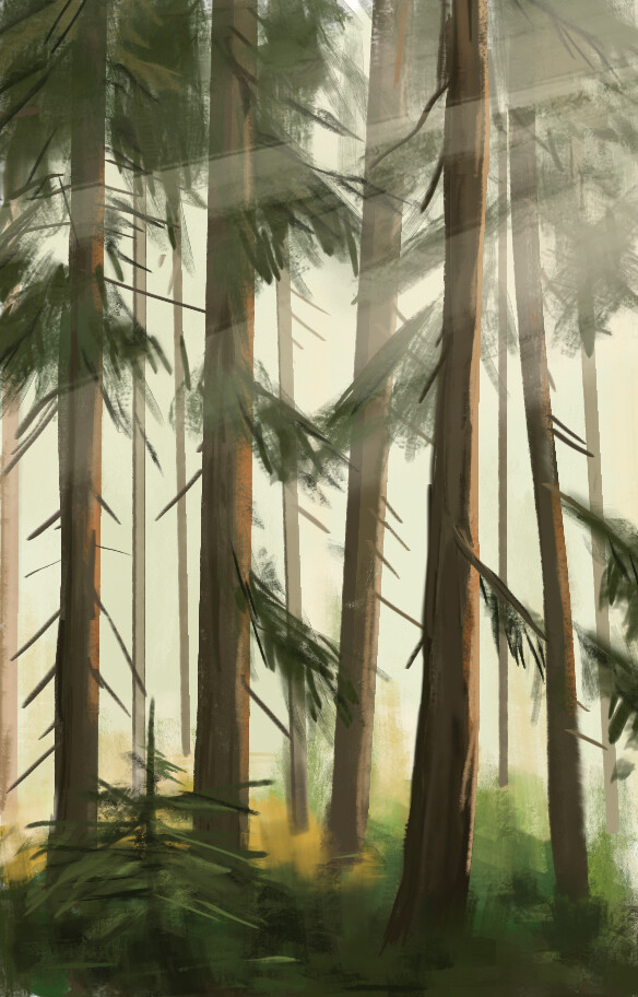 ArtStation - Forest Sketch