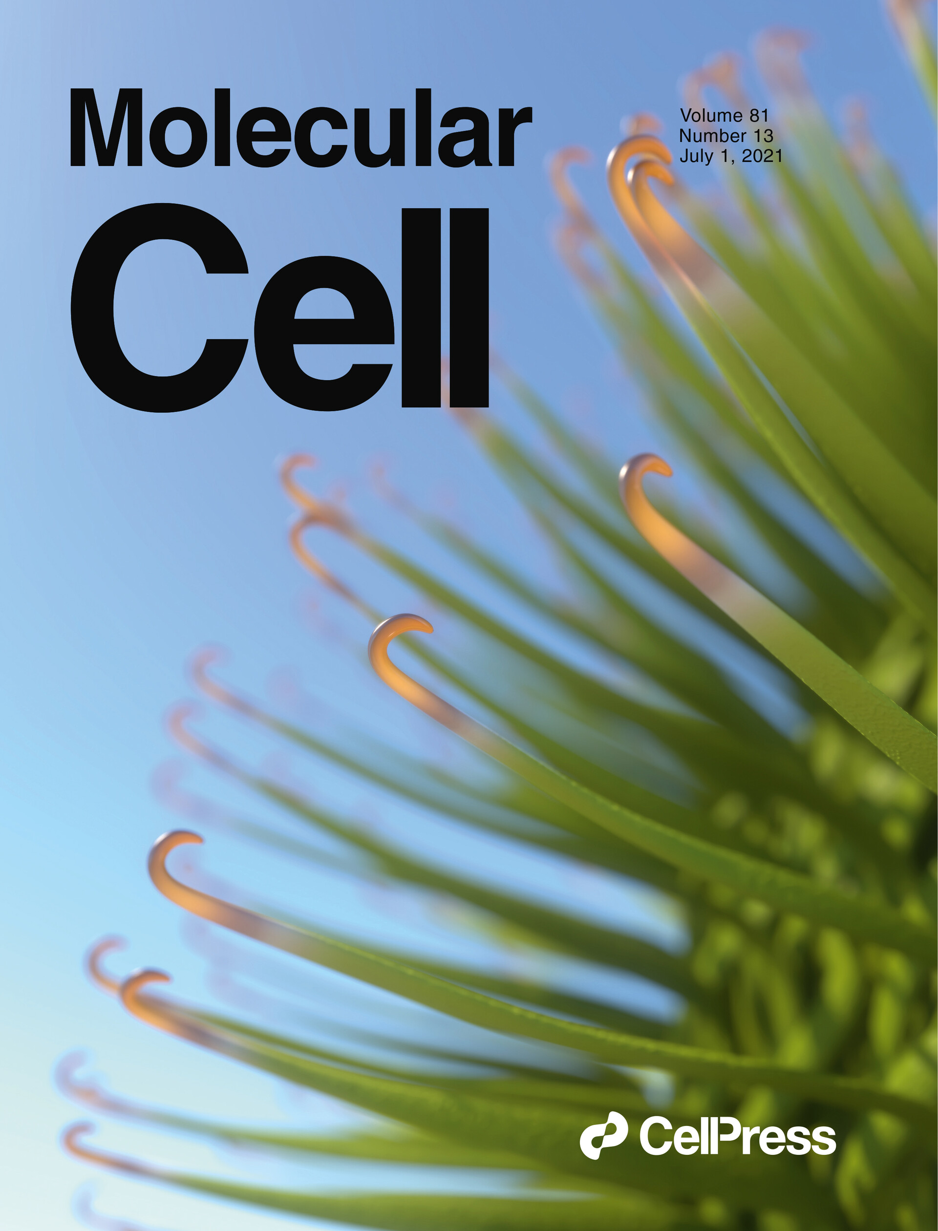 ArtStation - Molecular Cell Cover Illustration Volume 81 Number 13 July ...