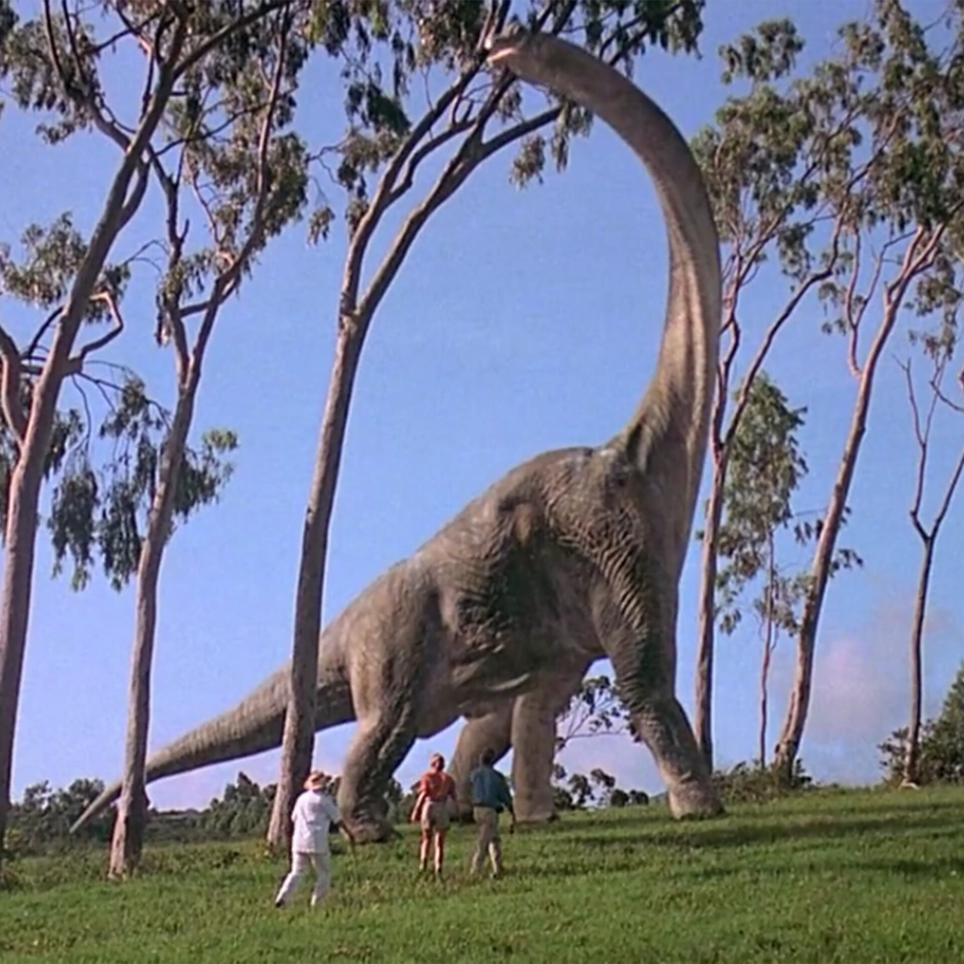 Brachiosaurus From Eating Trees