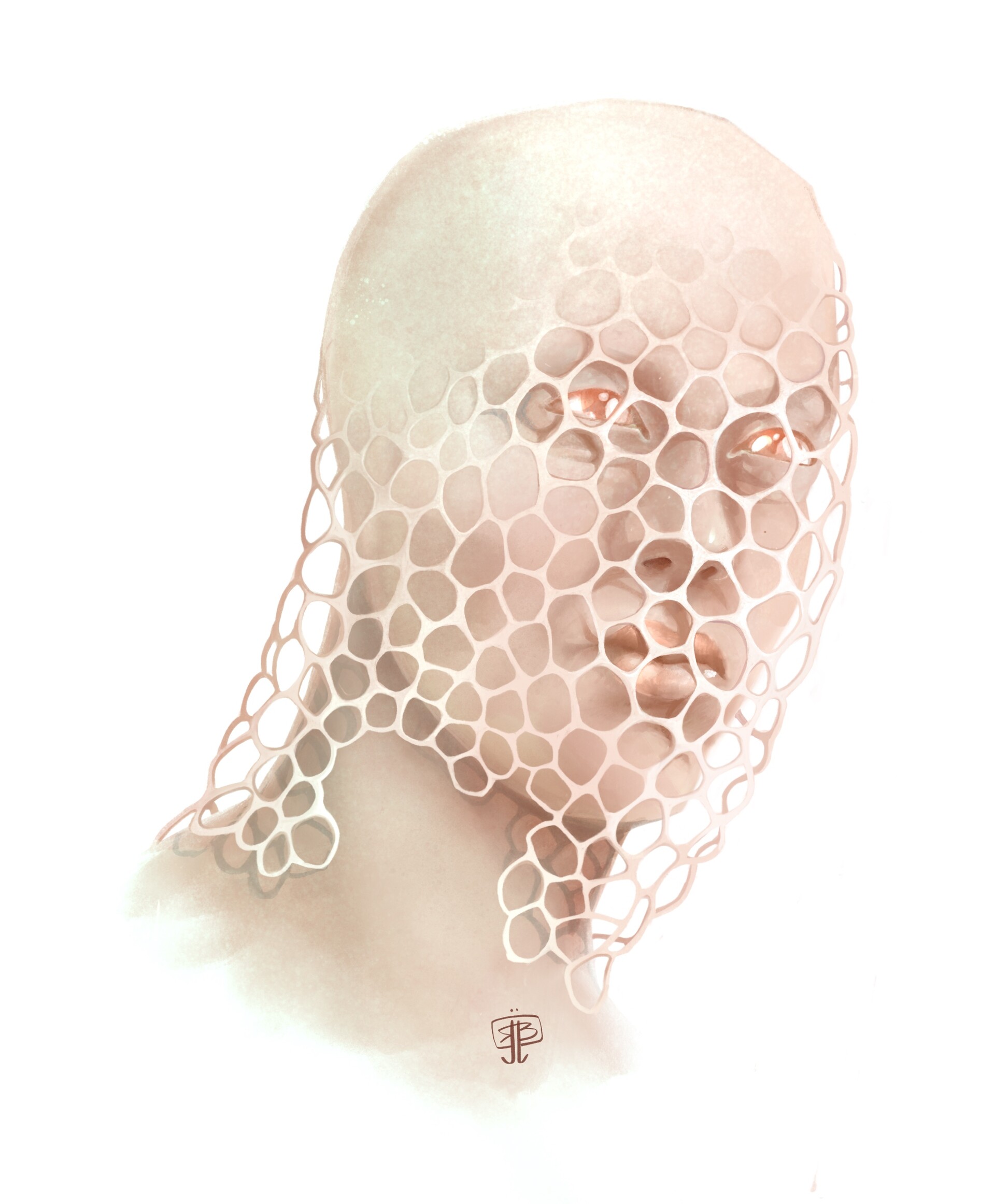 ArtStation - Phallis Indusiatus