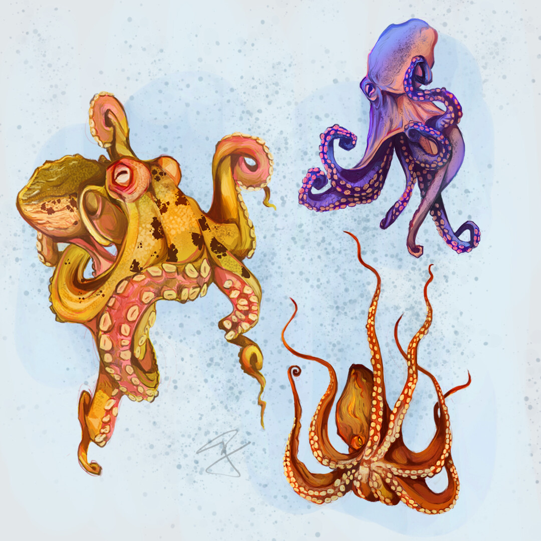 ArtStation - Octopus study