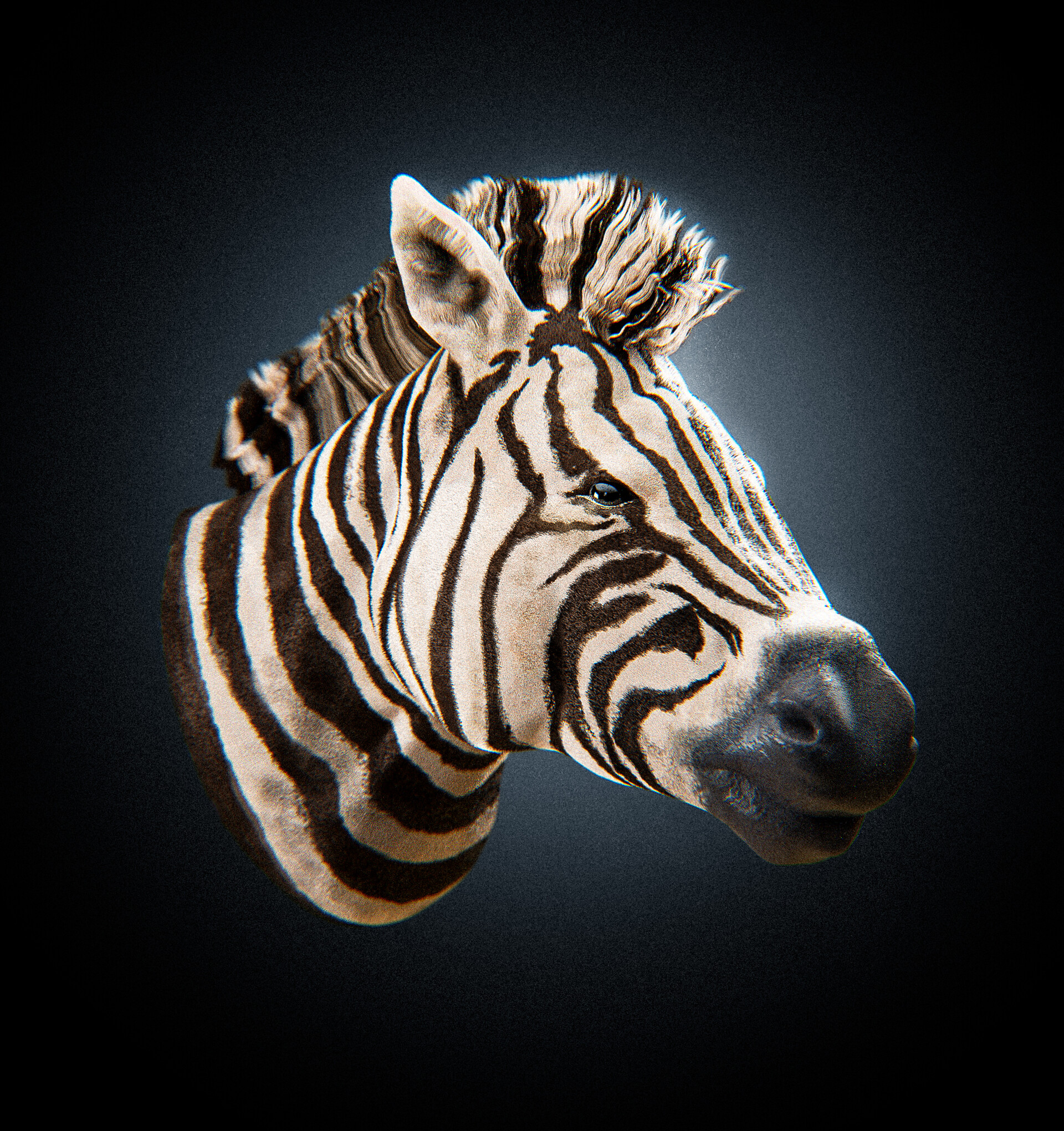 ArtStation - Zebra Head