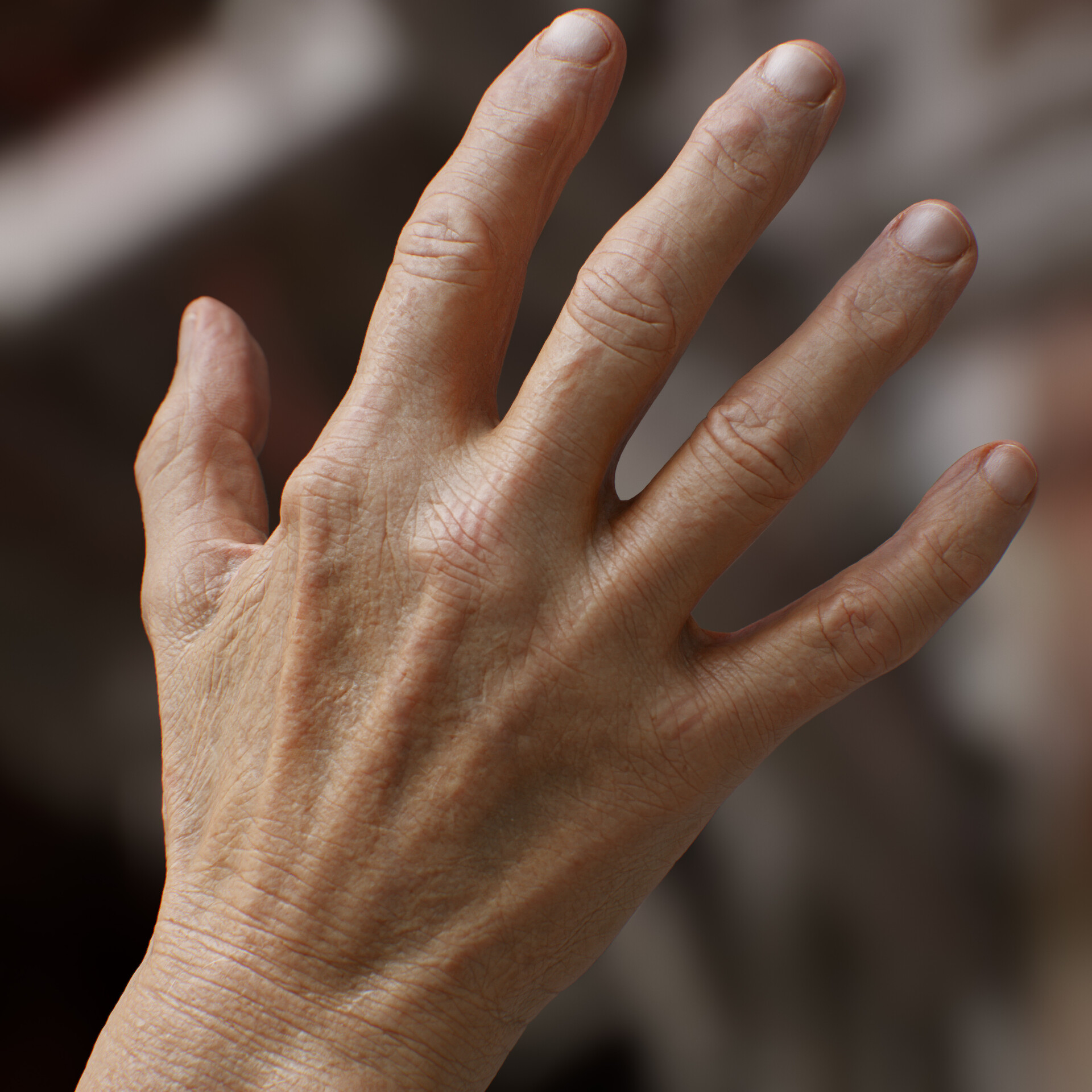 3D Scan Store - Hand Update