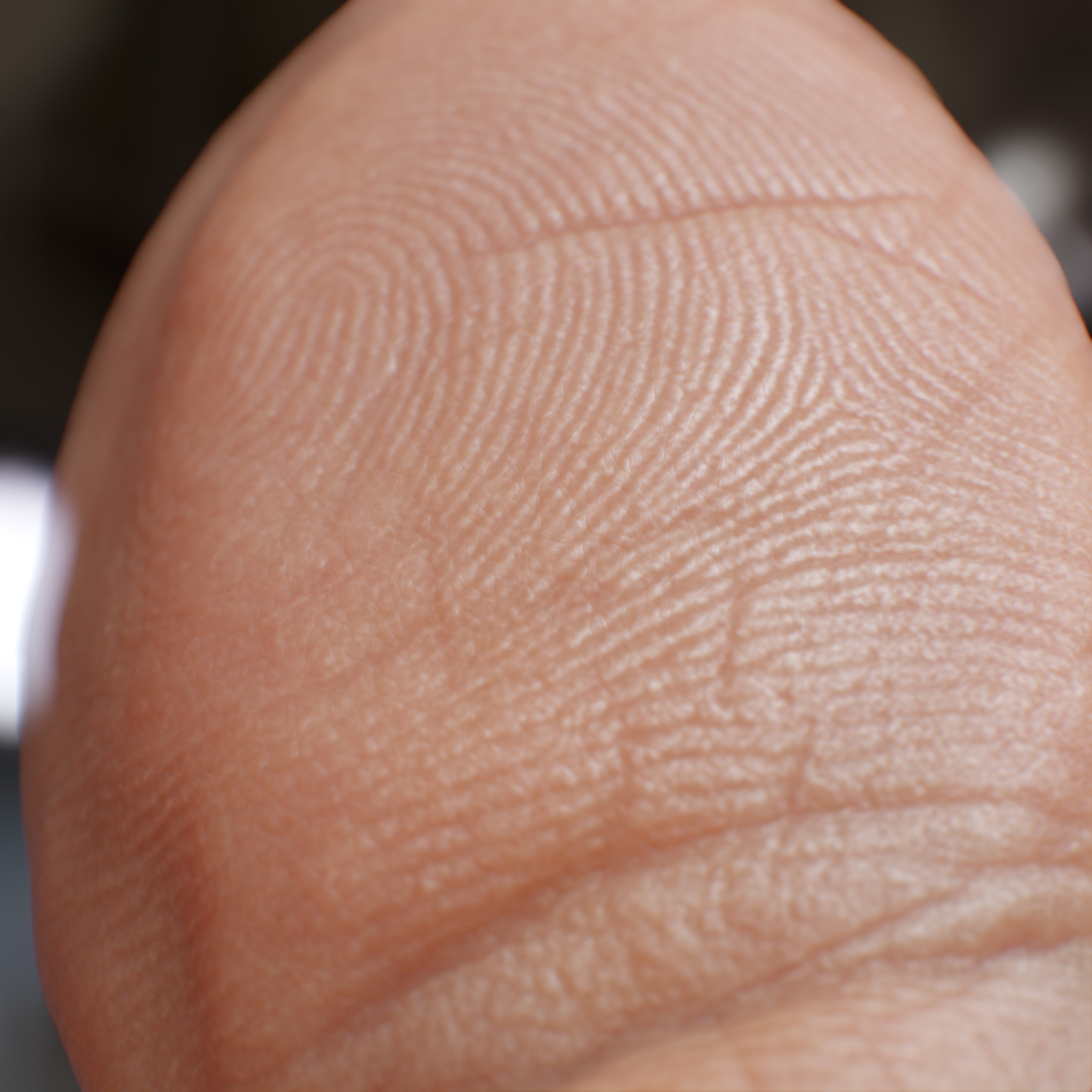 3D Scan Store - Hand Update