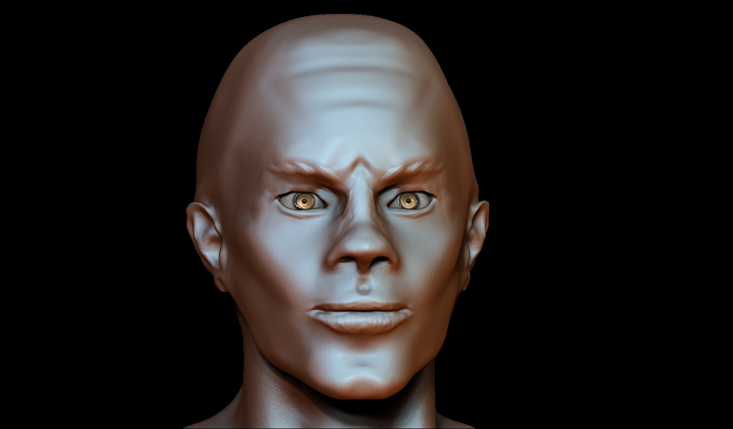 Robby - Robin Character