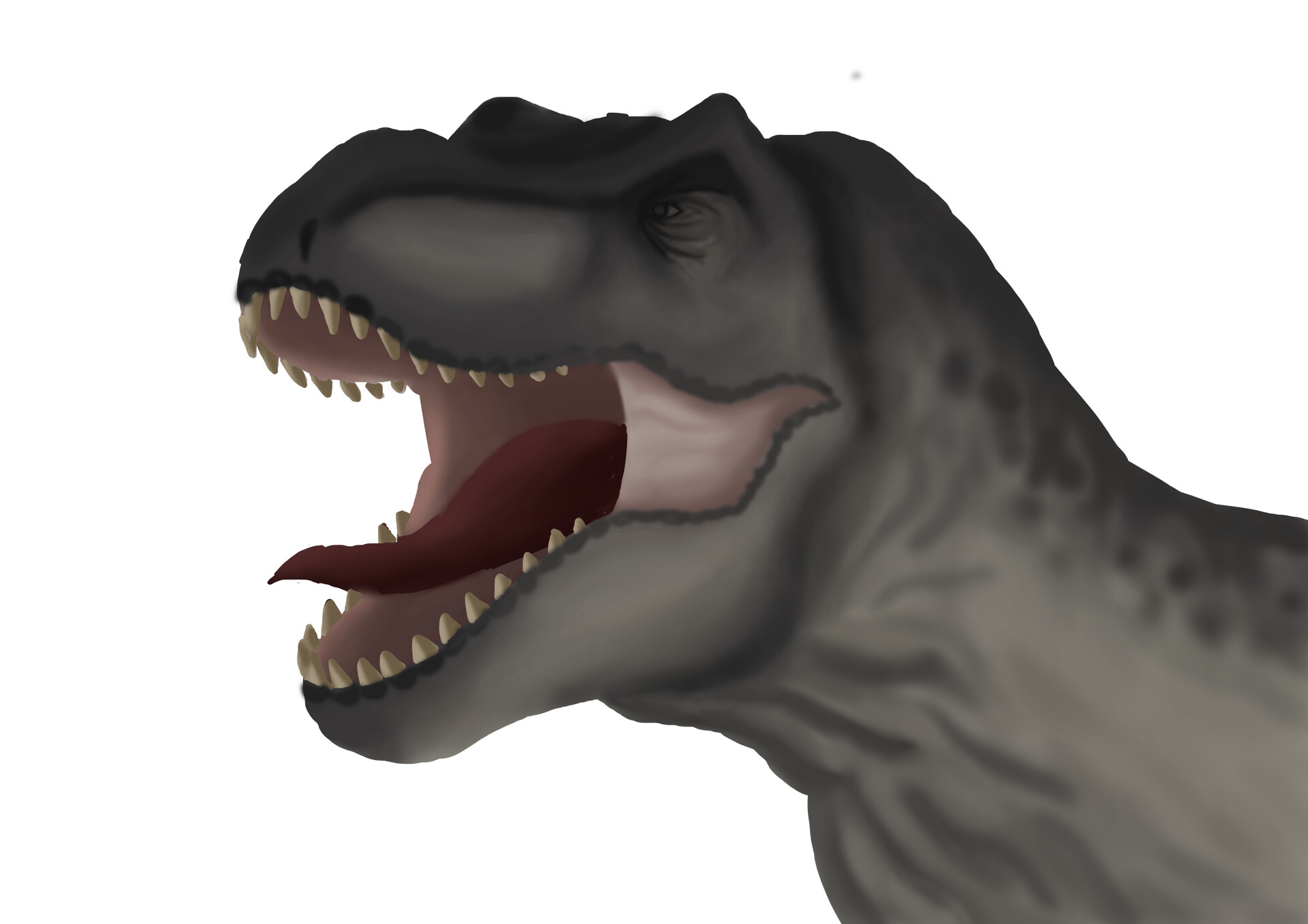 Renate Skjerpen - Rexi