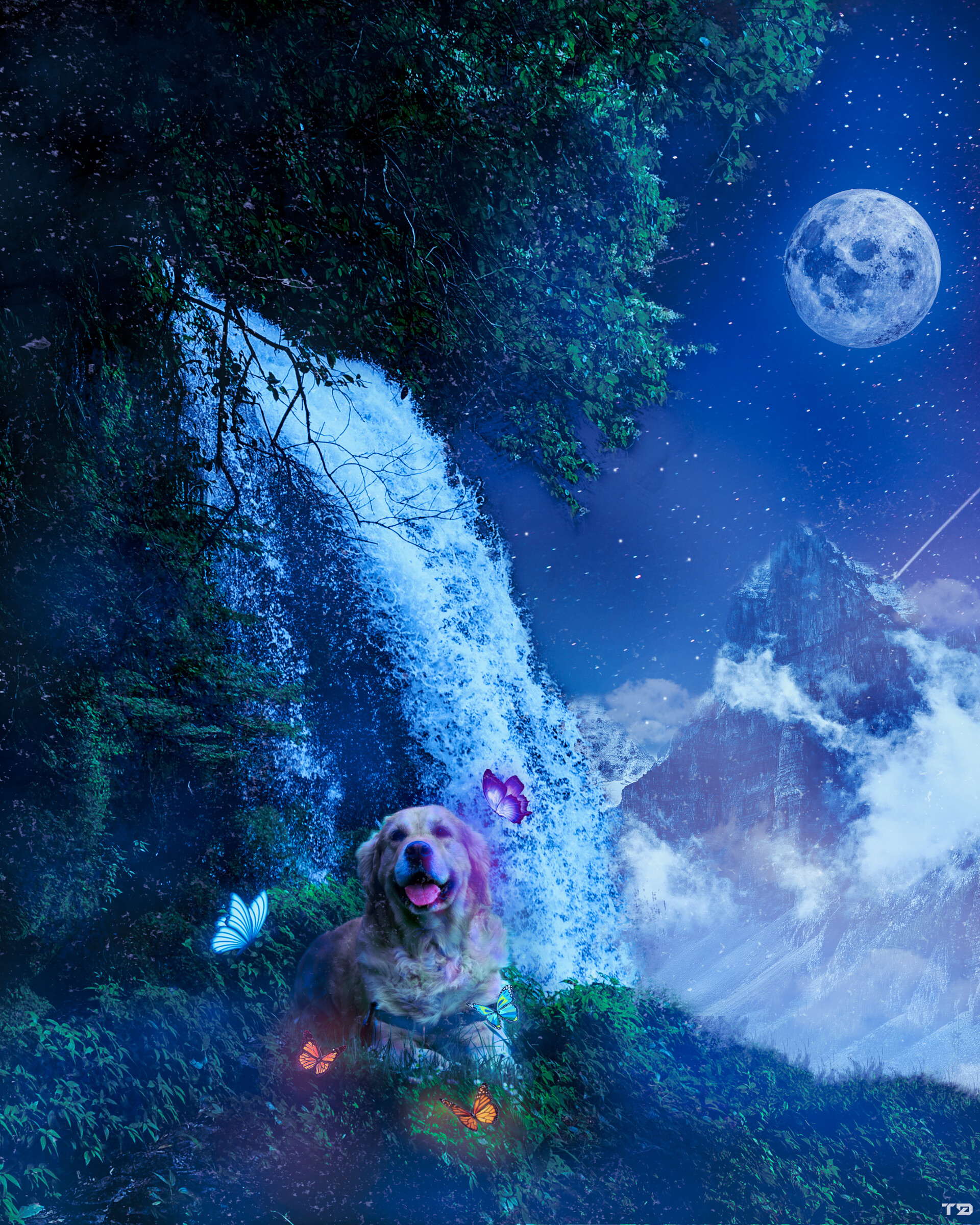 ArtStation - Ambient night