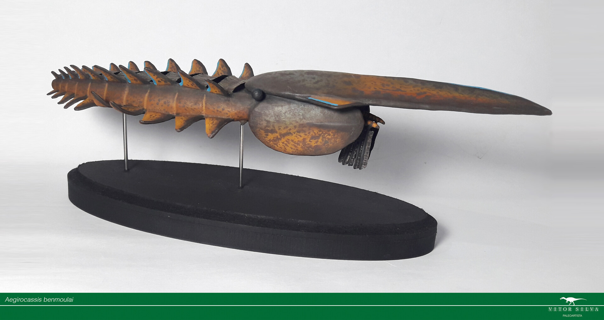 Vitor Silva - Aegirocassis