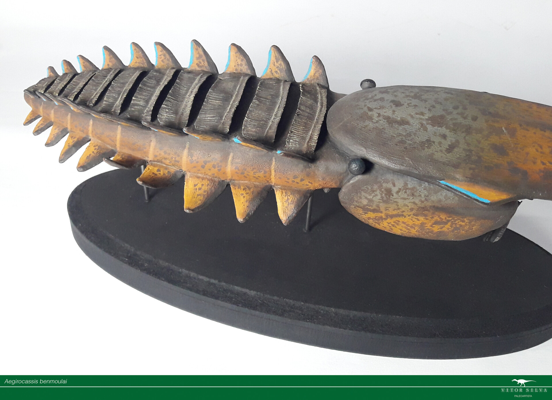 Vitor Silva - Aegirocassis