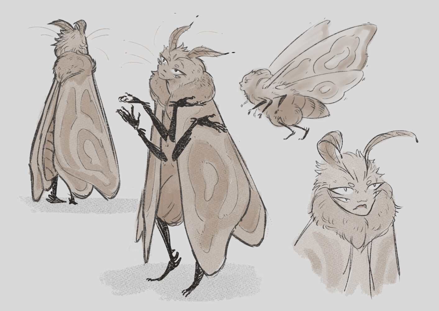 ArtStation - Moth Fairy Development